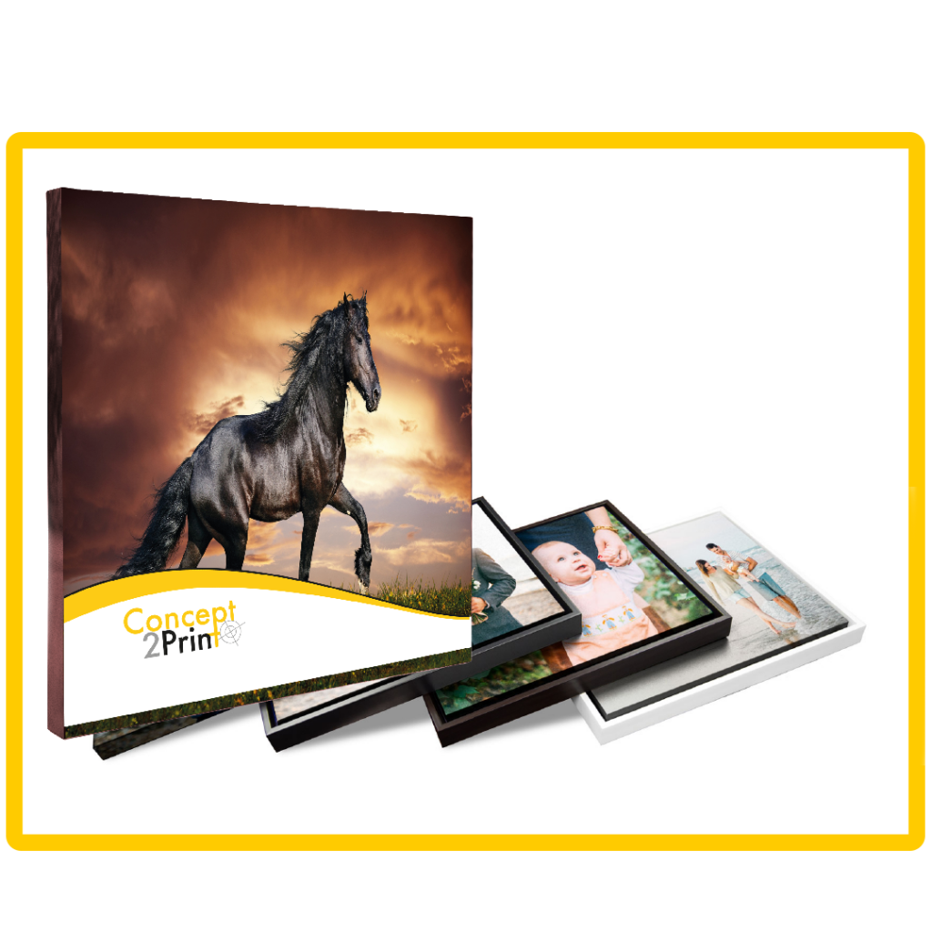 Canvas Print - Concept2Print